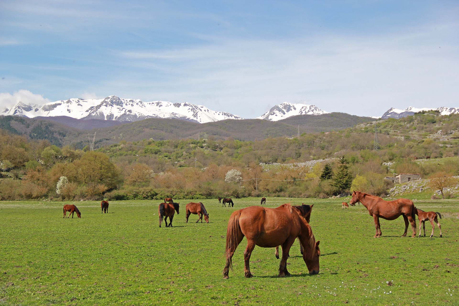 Escursione Al Pantano Di Montenero Immersi Nella Natura Selvaggia ...